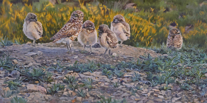 Kelly Singleton – Briscoe Western Art Museum