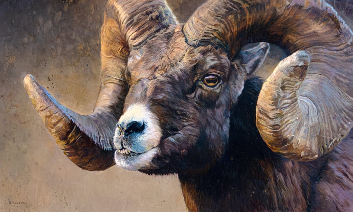 Kelly Singleton – Briscoe Western Art Museum